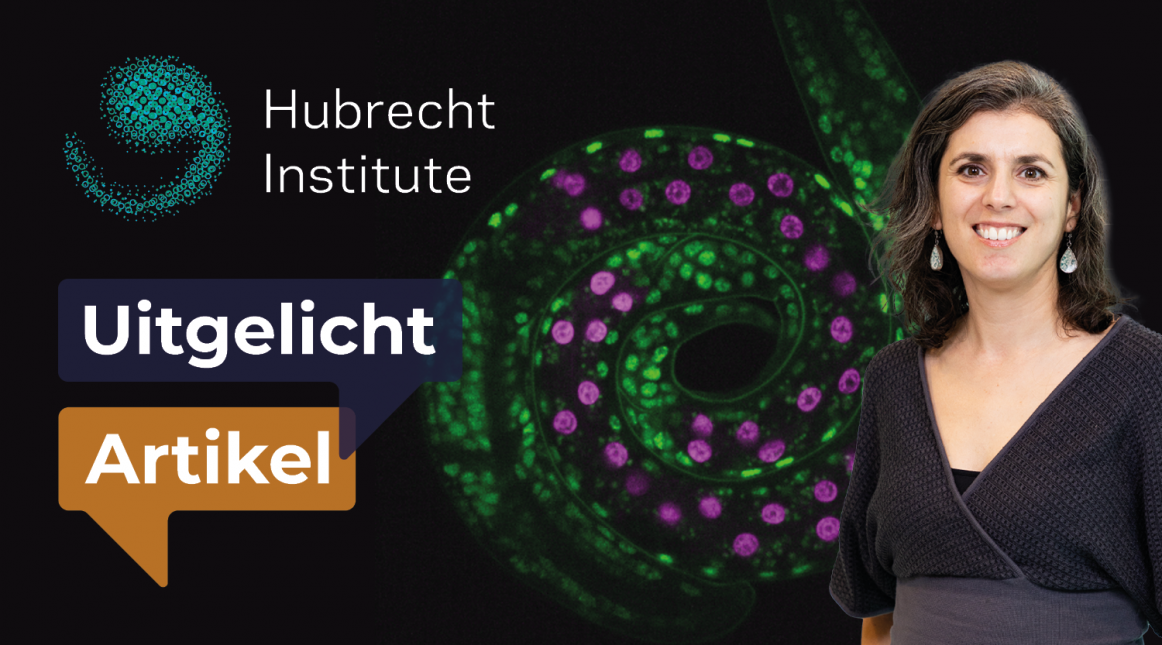 Neth-ER > Onderzoek en innovatie > Uitgelicht: DevCycle: waarom ...